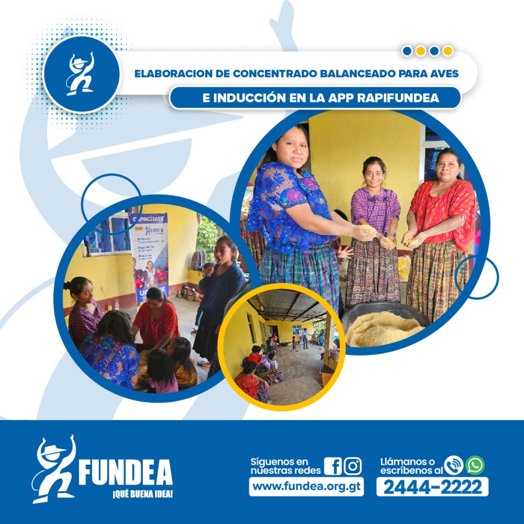 ELABORACION DE CONCENTRADO BALANCEADO PARA AVES E INDUCCION EN LA APP RAPIFUNDEA – Fundea