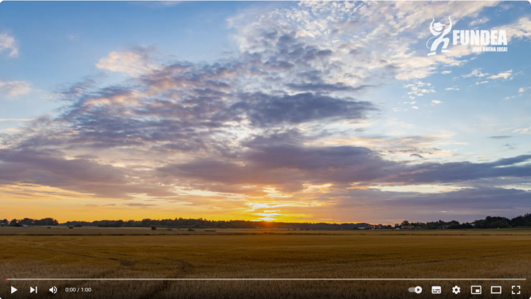 Fundea – Fundación para el Desarrollo Empresarial y Agrícola