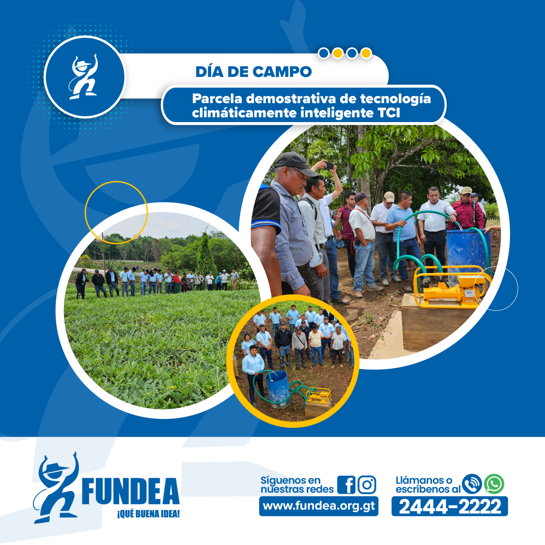 Noticias – Fundea